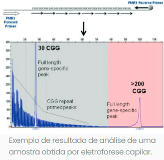 X FRÁGIL - DB Molecular