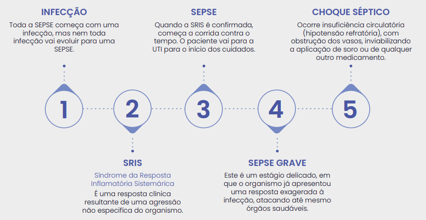 DB EXPRESS: PAINEL DE SEPSE - DB Molecular