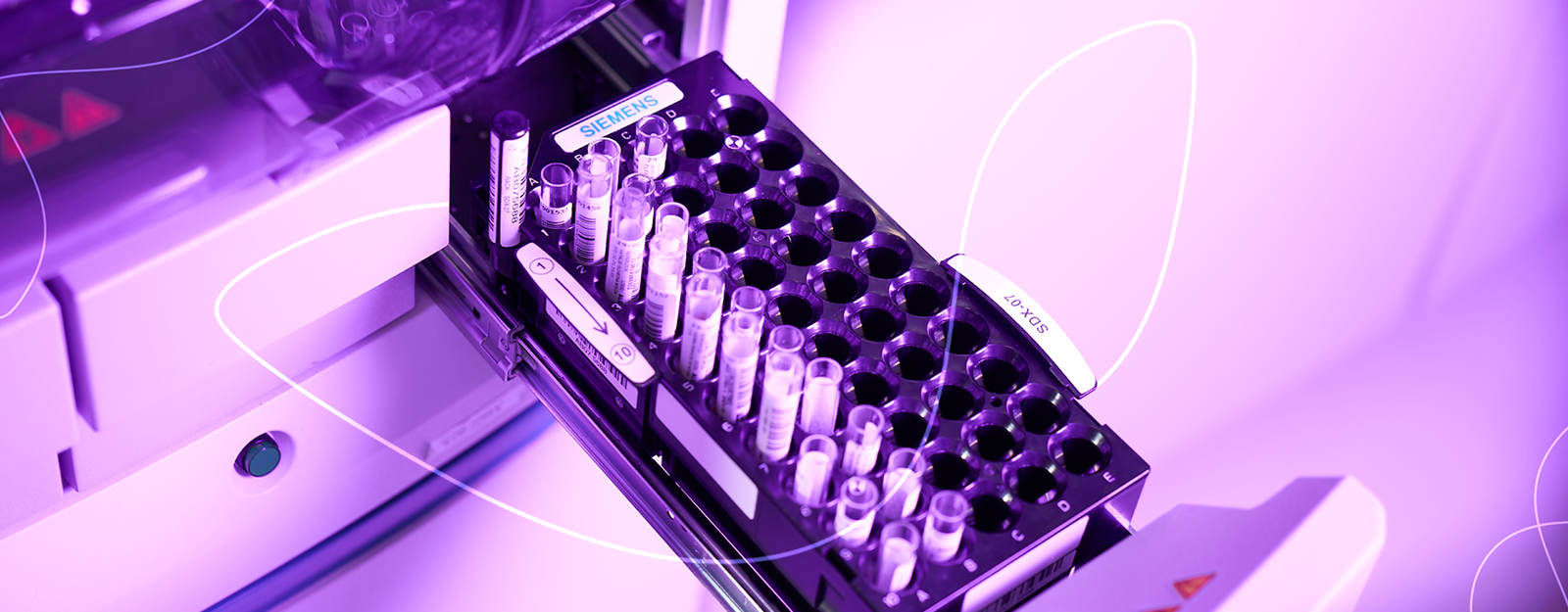 Institucional - DB Molecular