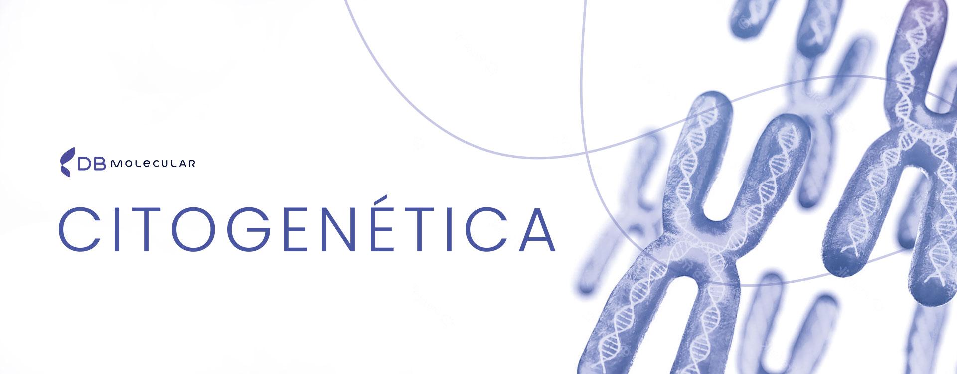 CITOGENÉTICA - DB Molecular